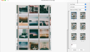 How To Print Multiple Pictures On One Page? (2024 Update) - Poladroid